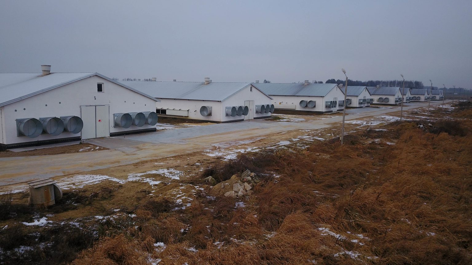 Jak powstała Koalicja Społeczna Stop Fermom Przemysłowym? - Koalicja ...