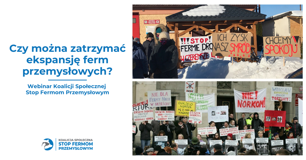 Czy można zatrzymać ekspansję ferm przemysłowych?